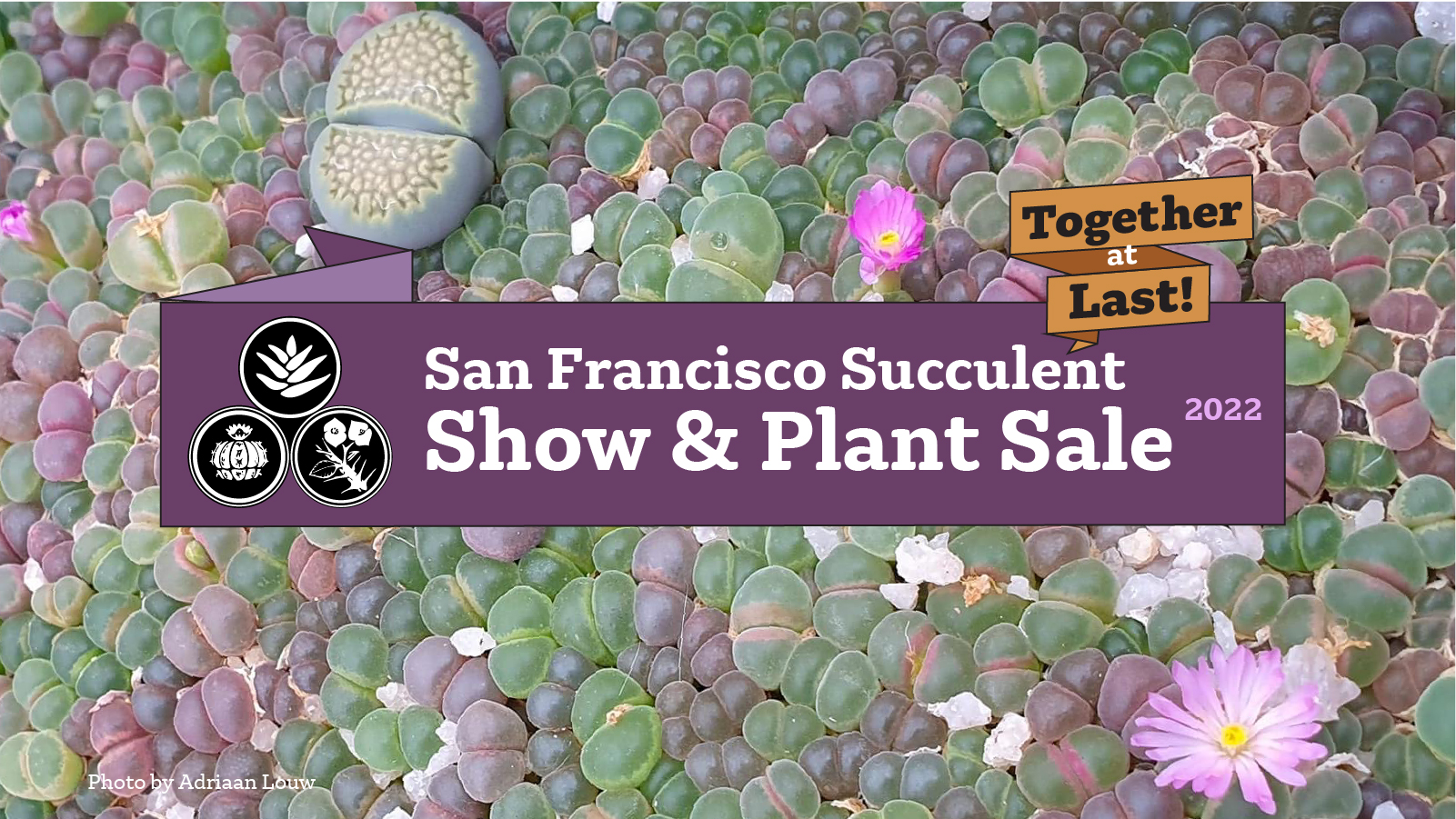 San Francisco Succulent & Cactus Society