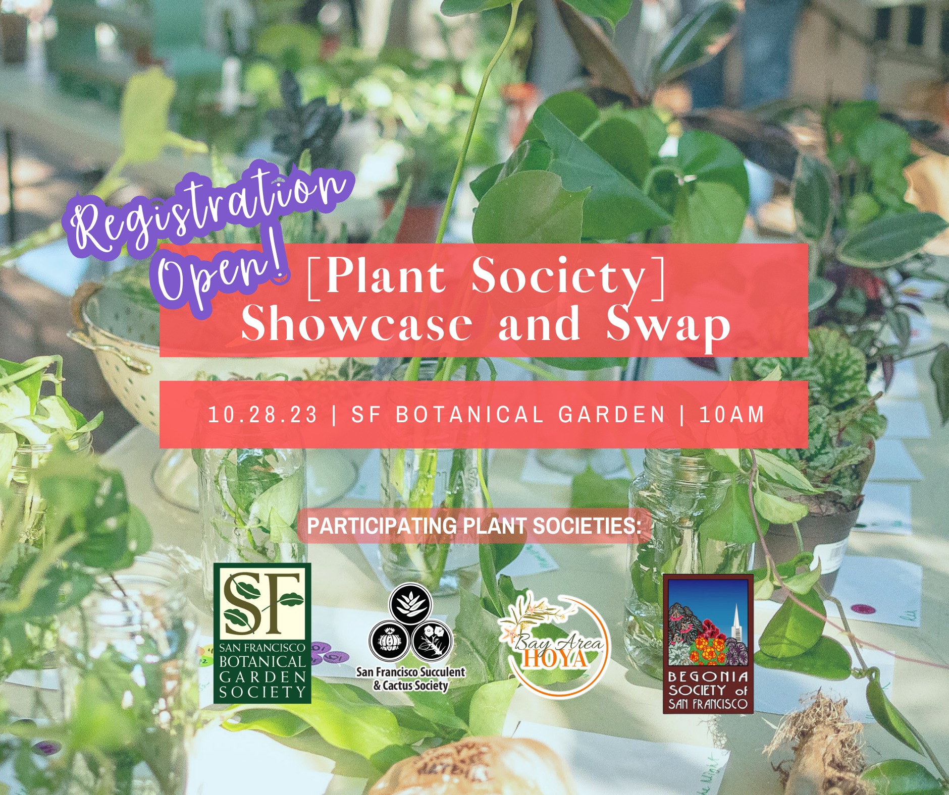 A Tour of Oaxaca | San Francisco Succulent & Cactus Society